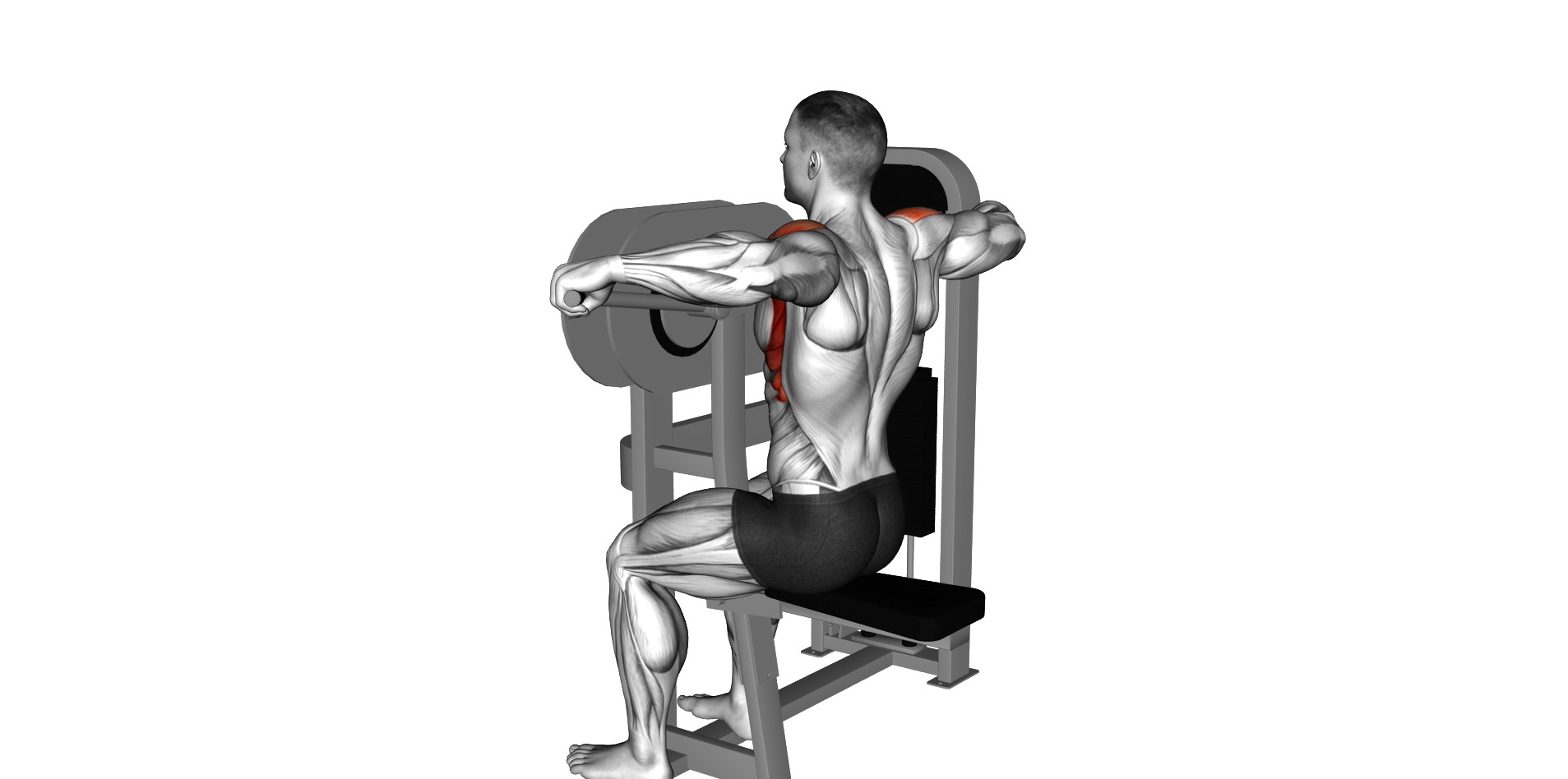 Choosing the Right Lateral Raise Rack Attachment: Tips and Recommendations